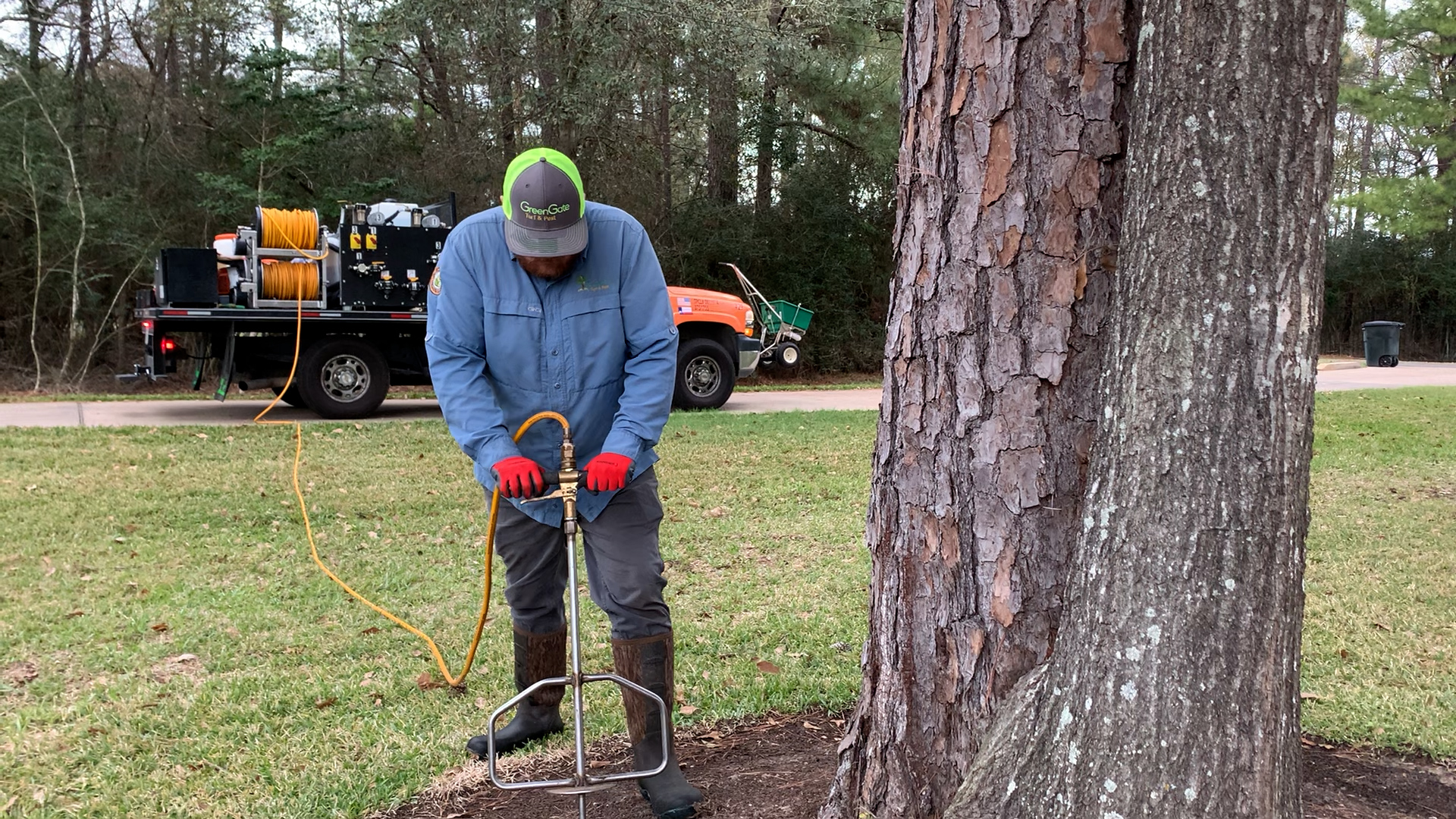 Deep Root Tree Feeding - GreenGate Turf & Pest