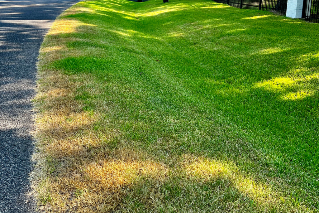 Combat Lawn Hot Spots with GreenGate in Houston, TX