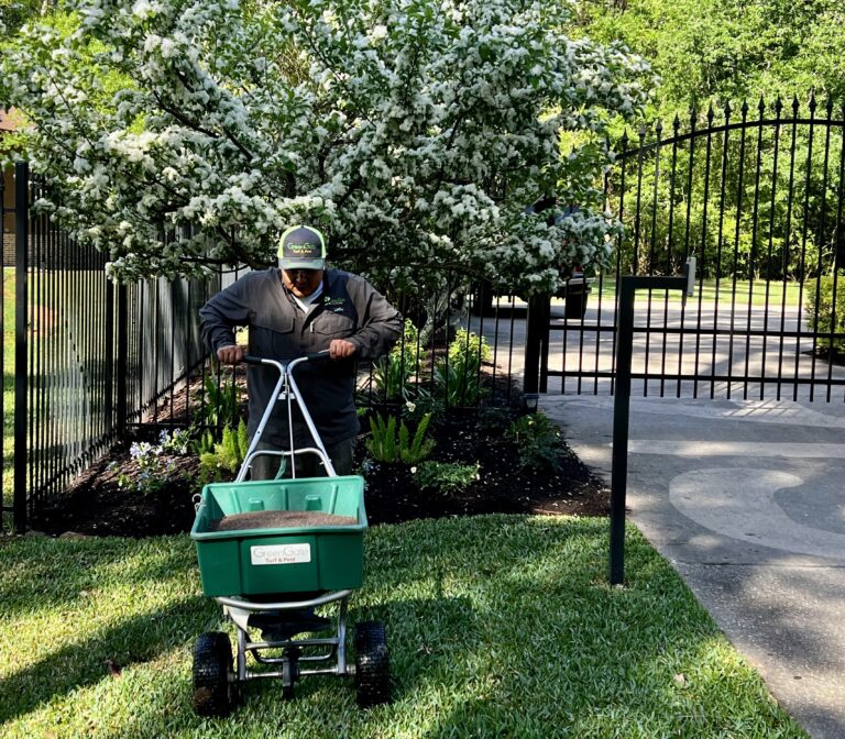 Understanding & Preventing Take-All Root Rot