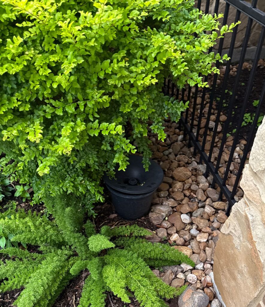 Where Do Mosquitoes Go in the Winter? | GreenGate Turf & Pest